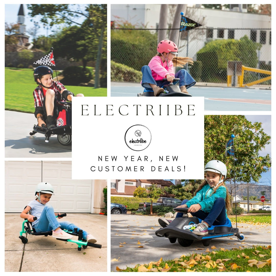 Kickstart 2025 with Electriibe’s Exclusive Offers on Electric Rides ...